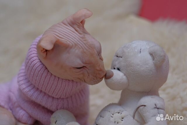 Элитный сфинкс на вязку