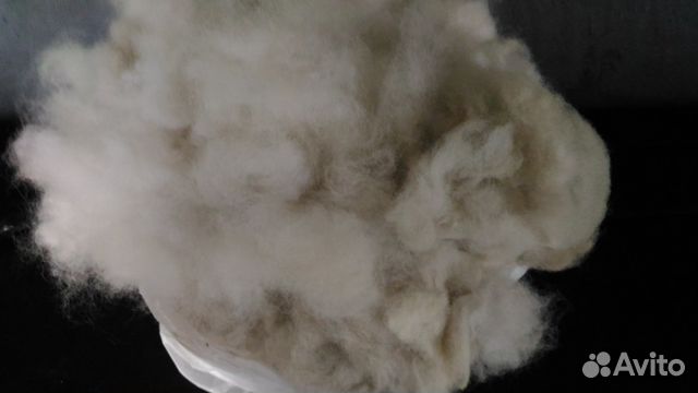 Шерсть собаки