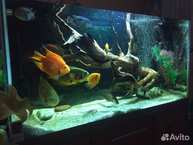 Продам шикарный аквариум 300 литров