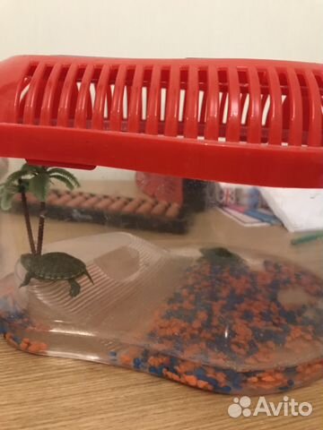 Черепашки водные 2 шт