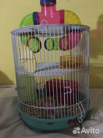 Хомяк вместе с клеткой