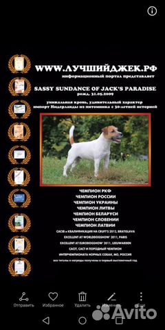 Папина дочка