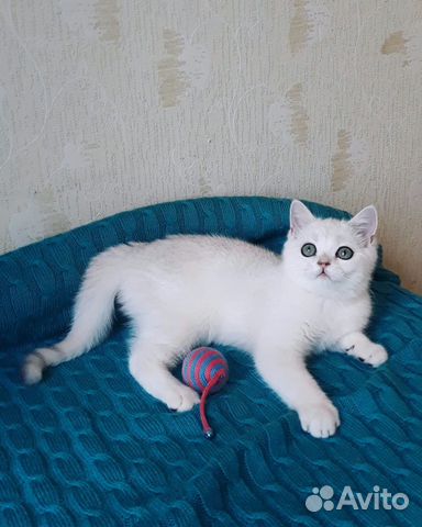 Мальчик с изумрудными глазами