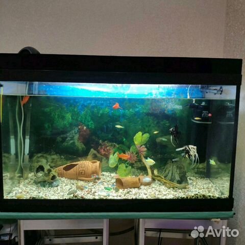 Аквариум