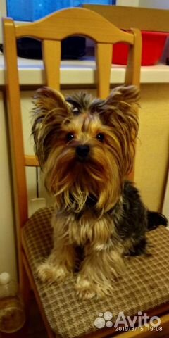 Ищем девочку для встреч