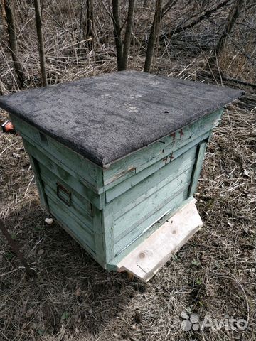 Пчелы с ульями на 12 и 16 рамках, пчелопакеты
