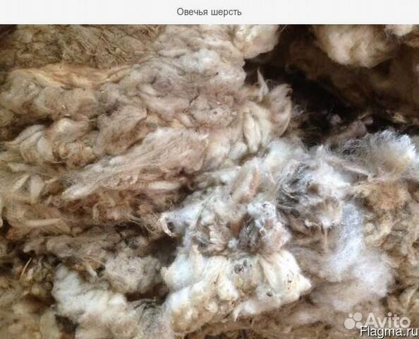 Шерсть овечья