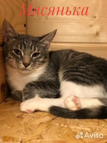 Предназначение Масяньки- любить и быть любимой