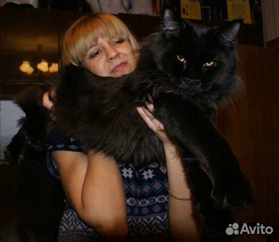 Черные куны