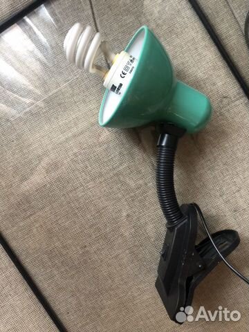 Аквариум (фильтр, обогреватель, лампа)