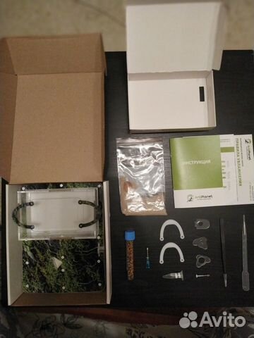 Формикарий AntPlanet Горный мох