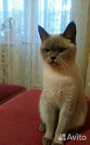 Вязка