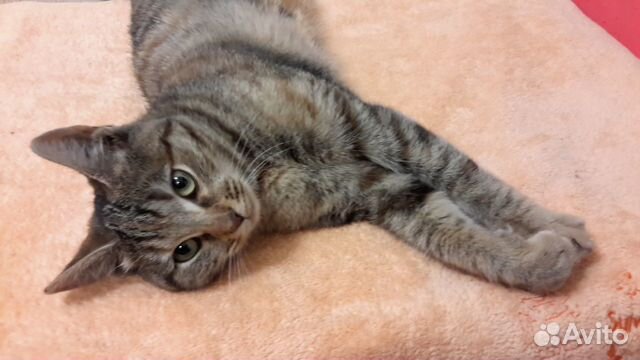 Самая замечательная в добрые ручки