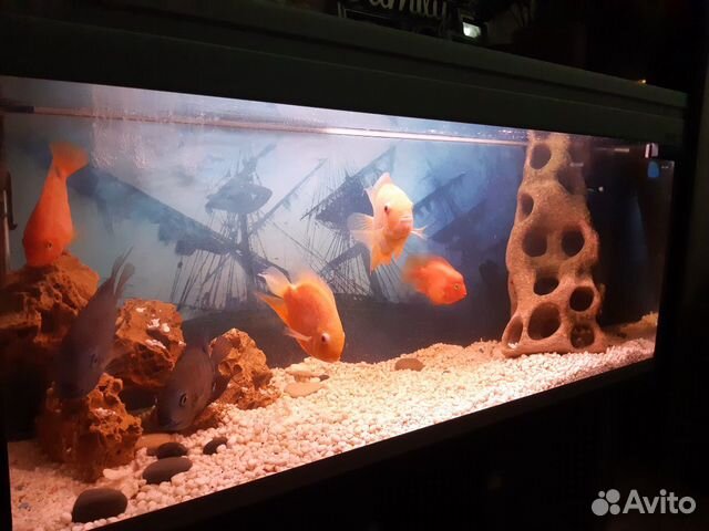 Продам аквариум 220л