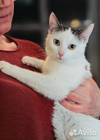 Кэнди 11 мес