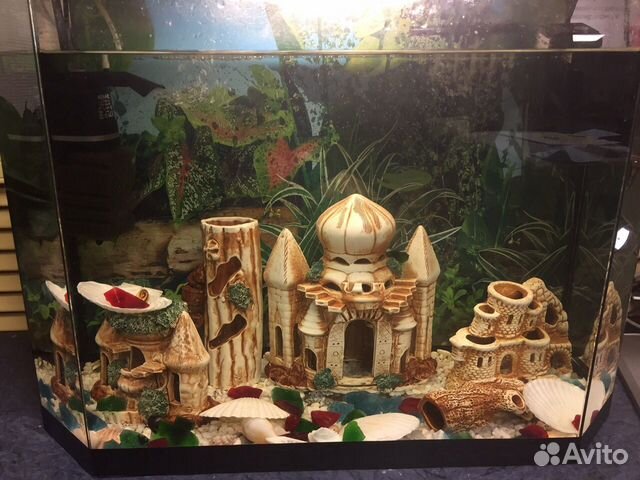 Аквариум