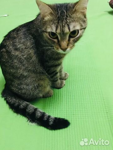 Откликнитесь