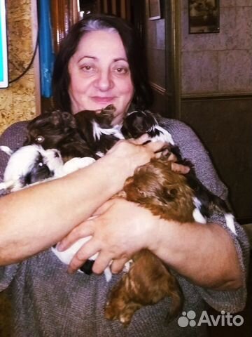 Шоколалное биро