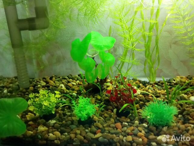 Растения искусственные для аквариума