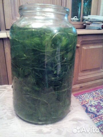 Обмен роголистника