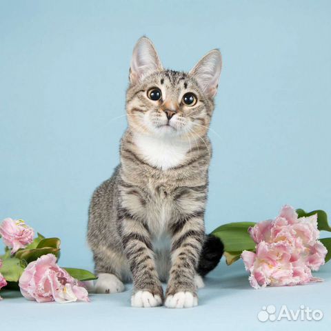 Скромная Василиса ждёт любимую маму