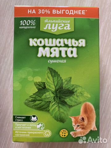 Кошачья мята сушёная
