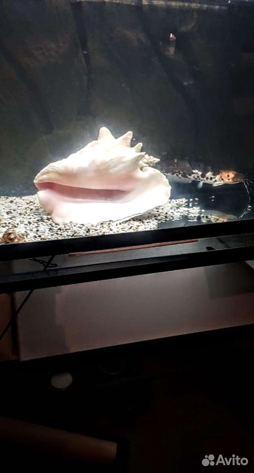 Аквариум 120 Ferplast с комплектом оборудования