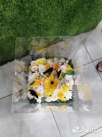 Живые бабочки в подарок