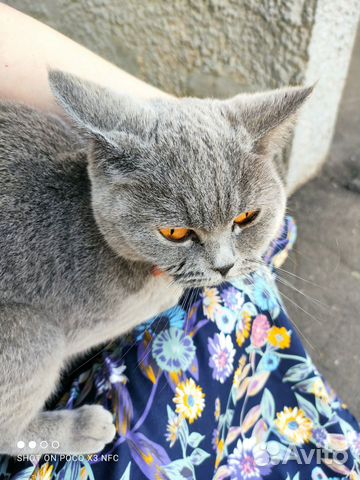 Малышка Джульетта