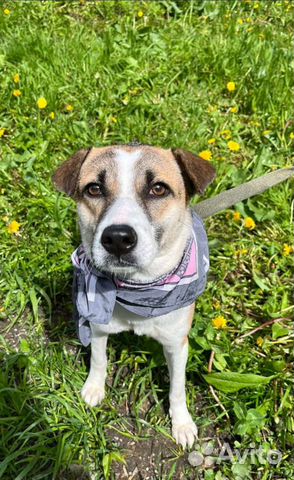 Крошка Ляля мечтает о доме