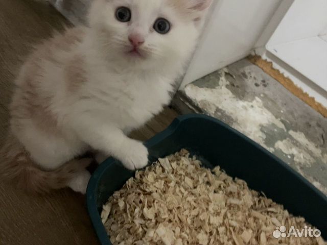 Малыш с персиковыми пятнами