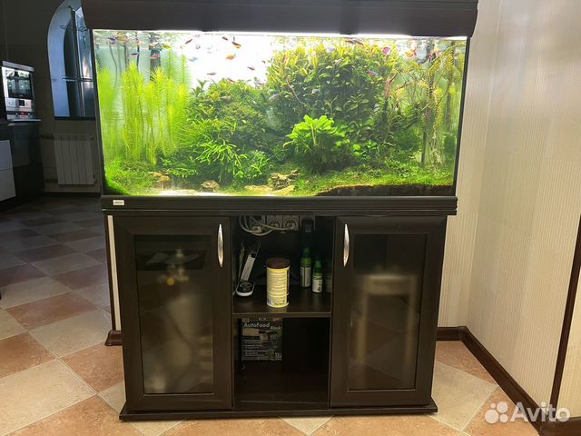 Аквариум