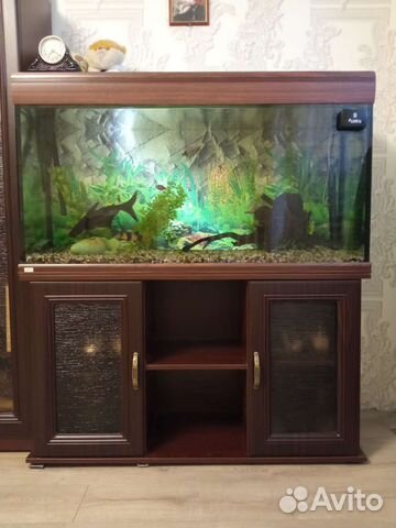 Аквариум с тумбой 300 литров