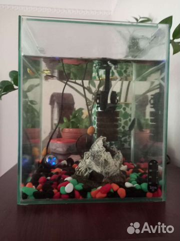 Аквариум