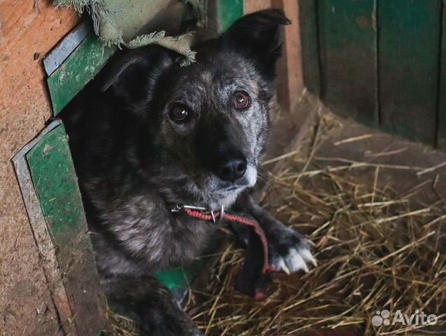 Дина не теряет надежды обрести семью 8 лет