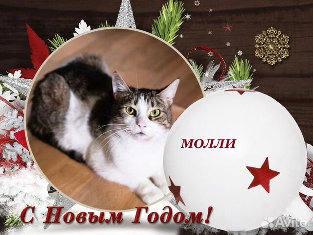 Игрулька красотулька девочка Молли ищет дом