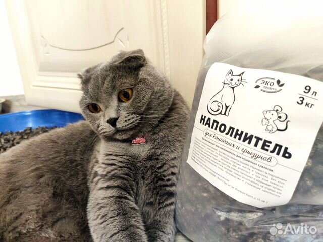 Кошачий наполнитель из лузги подсолнечника купить в Краснодаре ...