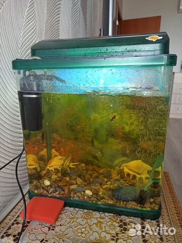 Аквариум 30 л. с рыбками. компрессором. фильтром
