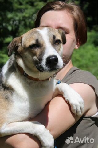 Невыносимо в приюте.Ляля хочет домой