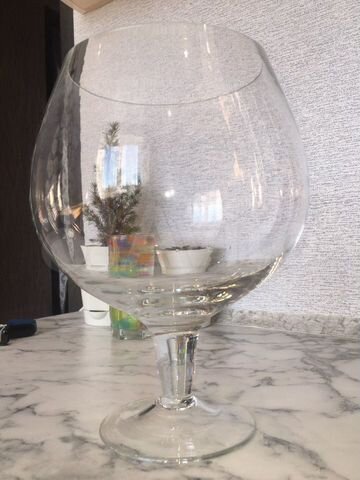 Аквариум - бокал (рюмка)