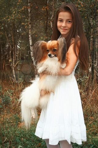 Вязка папийон