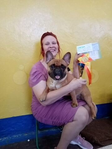 Кавалер для милых дам