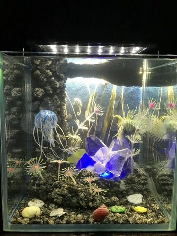 Аквариум 30 л(кубик)