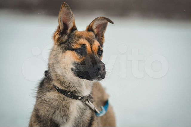 Умочка девочка умничка