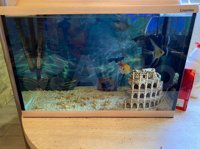 Аквариум 72 литра